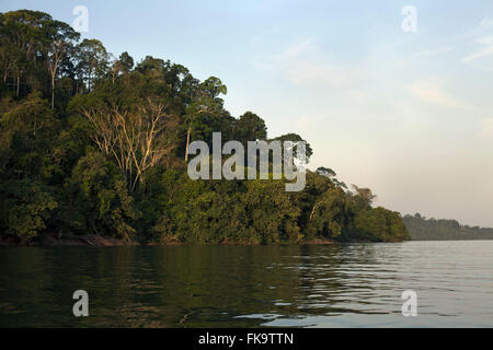Rio Xingu-Region in der Gemeinde von Altamira Stockfotografie - Alamy