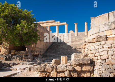 Lindos, Rhodos, südliche Ägäis, Griechenland. Wilder Thymian (Thymus ...