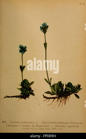 Der „Atlas de la Flora Alpine“ ist ein botanisches Referenzwerk, das ...