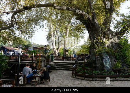 TÜRKEI Antakya, Musa Dagh, ehemaliges armenisches Dorf Yoghonoluk ...
