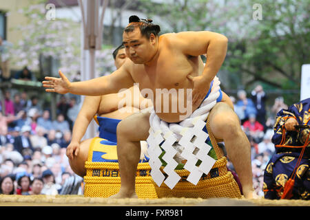 Tokyo Japan. 18. April 2016. Aoiyama, 18. April 2016 - Sumo: Jährliche ...