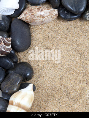 Schöne Muscheln auf dem sandigen Strand genommen, Closeup, Shell Rand ...