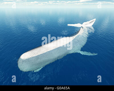 Weisser wal Pottwal Stockfotografie - Alamy