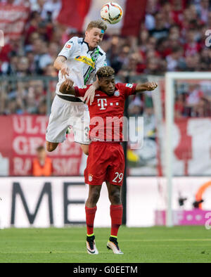 Nico Elvedi (Borussia Mönchengladbach, #30) und Robin Hack (Borussia Mönchengladbach, #25 ...
