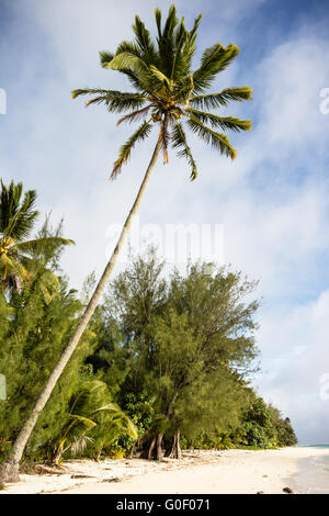 Typische polynesische Landschaft - Insel mit Palmen und kleinen Häuser ...