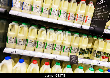 Milch-Regal im Supermarkt Stockfoto, Bild: 16779820 - Alamy