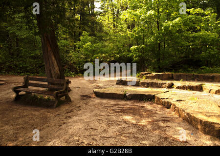 Holzbank im Wald Stockfoto, Bild: 310291618 - Alamy