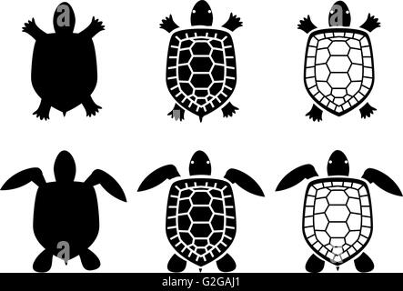 Satz von Schildkröte und Schildkröte Silhouette, Vektor Stock ...