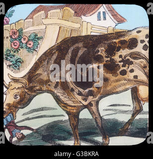 Tratsch Über Feen Stockfotografie - Alamy