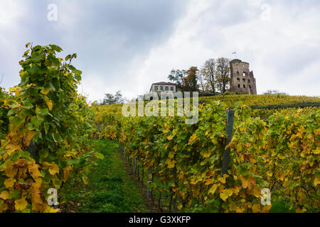 Schriesheim und strahlenburg Stockfotografie - Alamy