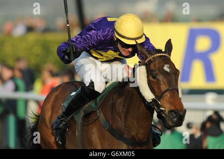 Der von Robbie McNamara geritten Spring Heeled (rechts) springt den ...