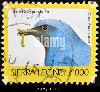 SIERRA LEONE - ca. 2002: Eine Briefmarke gedruckt in Sierra Leone zeigt ...