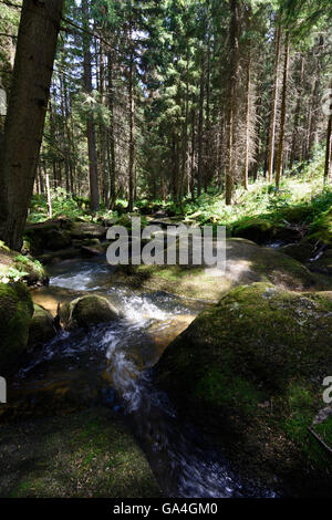 Arbesbach Wasserfall Lohnbachfall Strom Kleiner Kamp am Pretrobruck ...