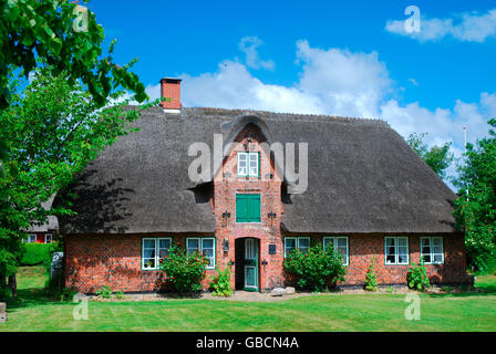 Friesenhaus, Reetdachhaus, Nordsee, Insel Amrum, Schleswig-Holstein ...