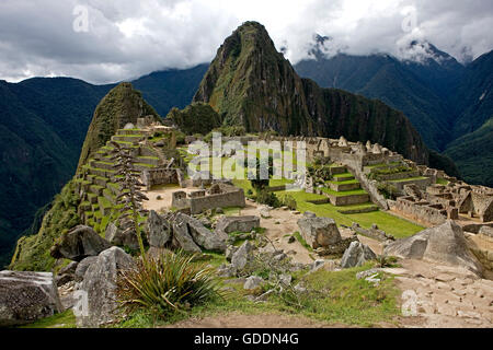 Geographie/Reisen, Peru, Machu Picchu, Inka Stadt, Opfer Plateau, Additional-Rights - Clearance ...