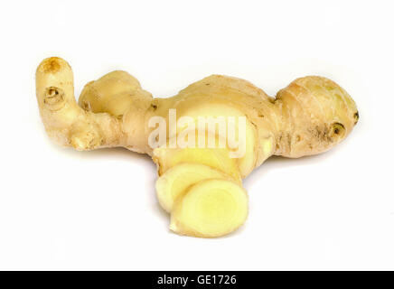 Ingwer Wurzel, Hintergrund weiß, gingers, Wurzel, Knötchen, Ingwer ...