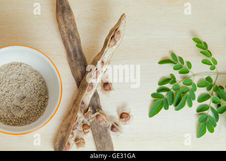 Moringa (andere Namen sind Moringa Oleifera Klg, MORINGACEAE, Futaba ...