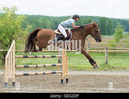[Pferd springen] Pferd springen [Springreiten] Stockfotografie - Alamy