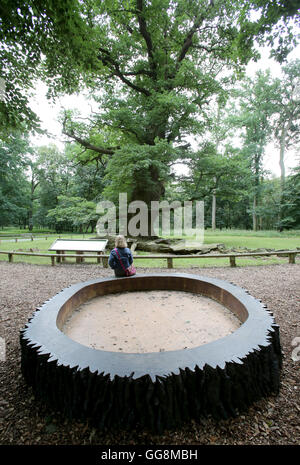 Eichen von Ivenack, ältesten Eichen in Ivenack bei Stavenhagen ...