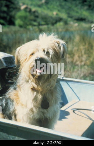 BOOMER, DER STREUNER / hier ist Boomer USA 1980 / Michael Caffey, Larry ...