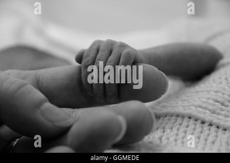 Vorzeitiges Baby hält Mama Papa Finger Stockfotografie - Alamy