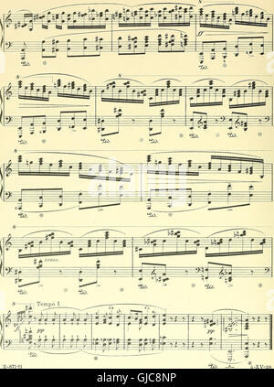 . Der Universitätslehrgang Musikstudium, Klavierserien; eine ...