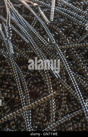 Nahaufnahme von Metalldrehungen / industriellen Späne aus CNC ...