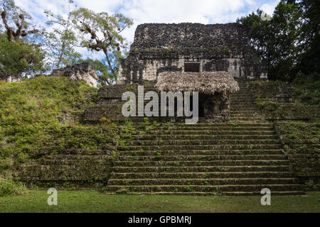 Plaza de Los Siete Templos (Platz der sieben Tempel), Tikal, Guatemala Stockfotografie - Alamy
