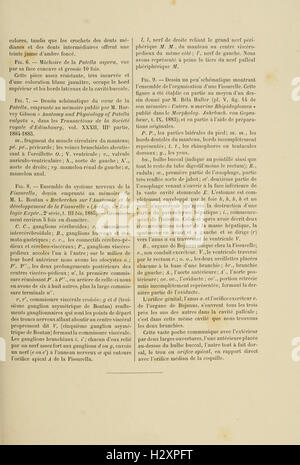 Dieser atlas bietet vergleichende Anatomie von Wirbellosen und zeigt ...