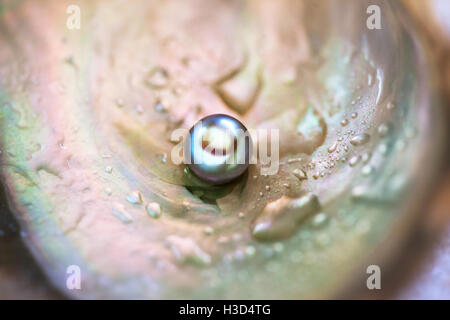 Perle in der Auster Shell im Wasser, auf dem Meeresgrund. 3D ...