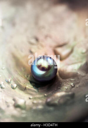 Perle in der Auster Shell im Wasser, auf dem Meeresgrund. 3D ...