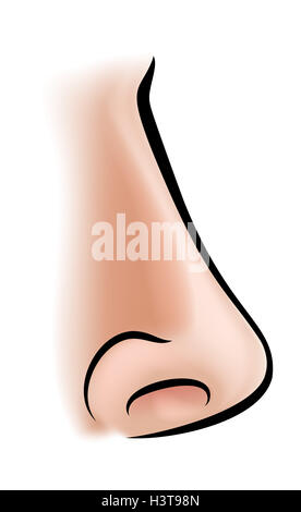 Menschlichen Körper Organe Anatomie Stockfoto, Bild: 223035883 - Alamy