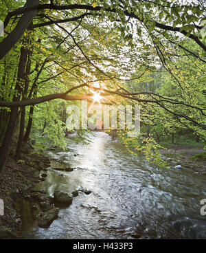 Österreich, Baden bei Wien, Helenental, Burg Ruine Rohstein ...