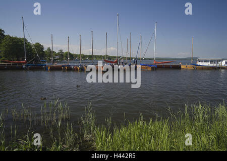 Deutschland, Niedersachsen, Wunstorf, Steinhuder Meer, Steg, Stiefel Europa, Naturschutzgebiet ...