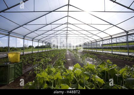 Gewachshaus Mit Licht
