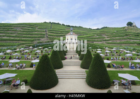Schloss Wackerbarth, Barockgarten, Weinberge, Radebeul, Sachsen ...