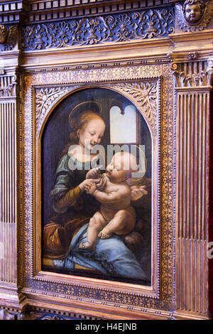 Das Benois Madonna Gemälde von Leonardo da Vinci, der Eremitage, Sankt Petersburg, Russland ...