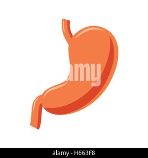 Magen Symbol im Comic-stil auf weißem Hintergrund. Organe symbol Vektor ...