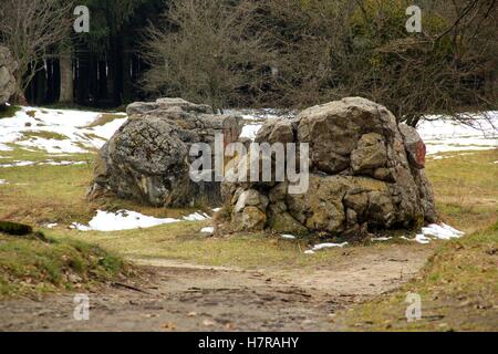 Wehrwolf in Winniza, Ukraine. Hitlers Bunker Stockfotografie - Alamy