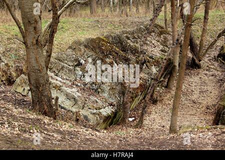 Wehrwolf in Winniza, Ukraine. Hitlers Bunker Stockfotografie - Alamy