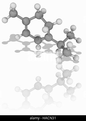 Alpha-Terpinene. Molekülmodell der zyklischen Monoterpen ...