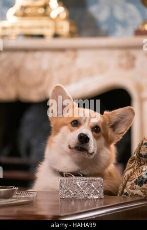 Der große freundliche Riese Jahr: 2016 UK / Kanada / USA Regie: Steven ...