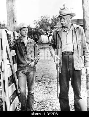 HUD, von links: Brandon De Wilde, Paul Newman, 1963, TM & Copyright (c ...