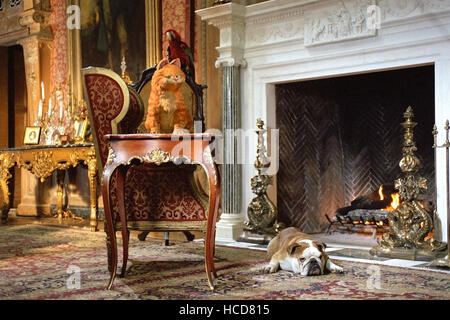 GARFIELD: A TALE OF TWO KITTIES, Winston, Ian Abercrombie, Garfield die ...