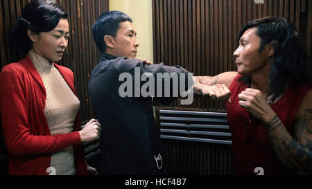 IP MAN, (aka YIP MAN), Lynn Hung (Lynn Xiong Dai Lin), 2008. © Gut Go ...