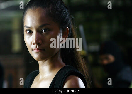 DER BEZWINGER (aka Endziel, aka SUAY SUMURAI), Pete Thongchua, 2009 ...