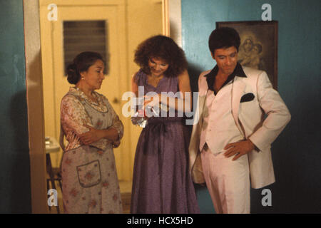 SCARFACE, Al Pacino, Miriam Colon, Mary Elizabeth Mastrantonio, 1983 ...