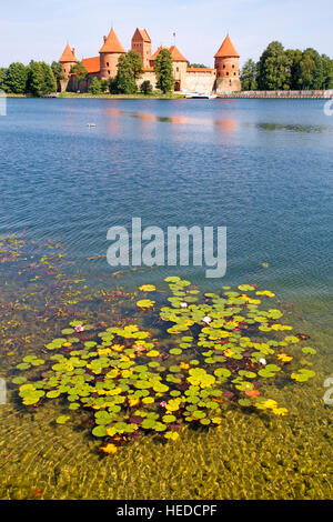 Trakai Burg Insel im See Galve in Tag, Litauen. Trakai Burg ist eine ...