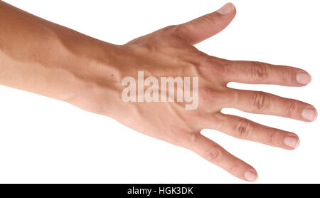 Arm mit sichtbare Venen Stockfoto, Bild: 130726896 - Alamy