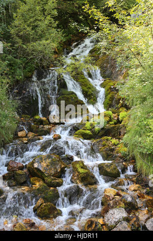 Berge, Holz, Quelle, Wald, Wasser, Natur, Wasserrinne, wasserquelle ...